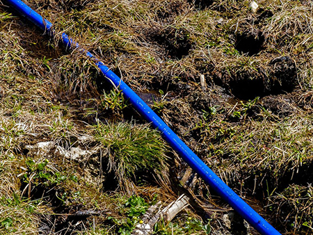 Custom How to Protect PEX Pipe From Rodents: Effective Prevention Strategies